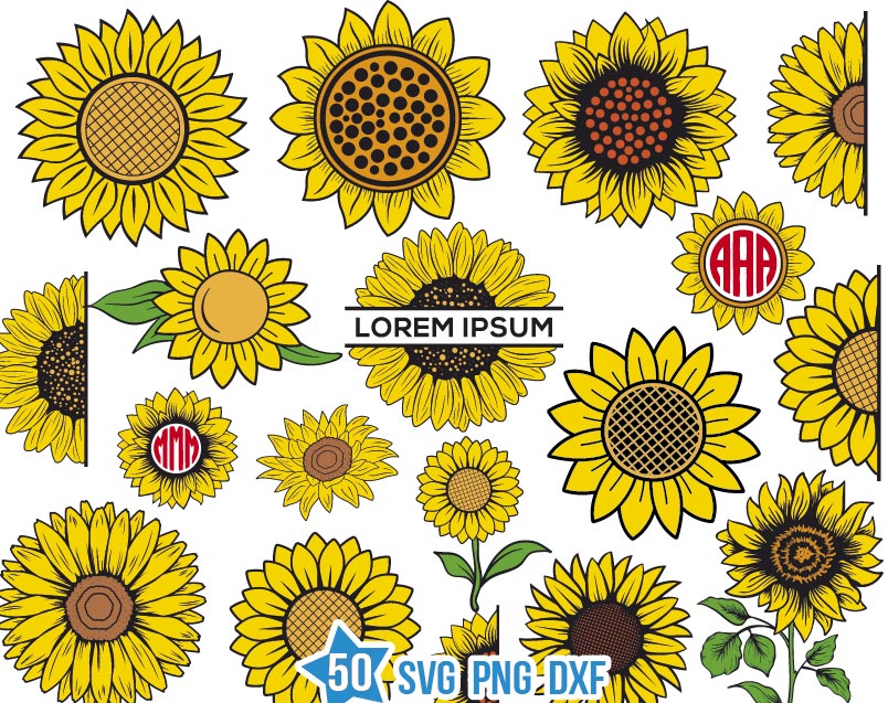 Sunflower svg, Sunflower Monogram svg, Flowers svg | BOXMEDIART Svg Cut ...